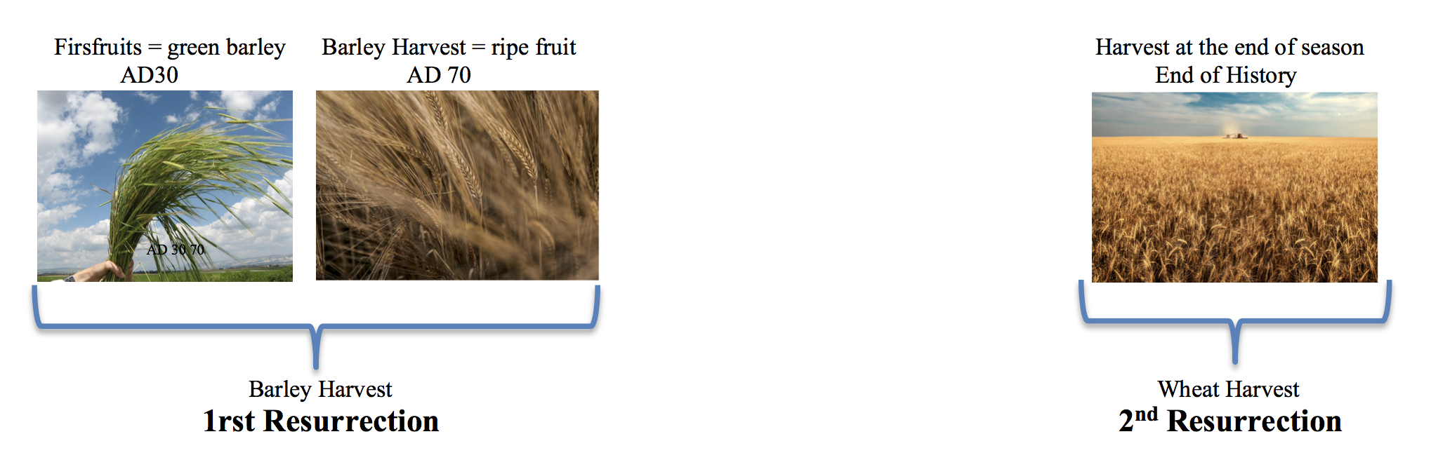 The Two Resurrections | Biblical Blueprints